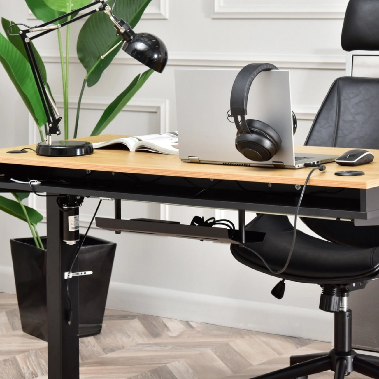 Apex Height Adjustable Electric Standing Desk - NuvoItalia